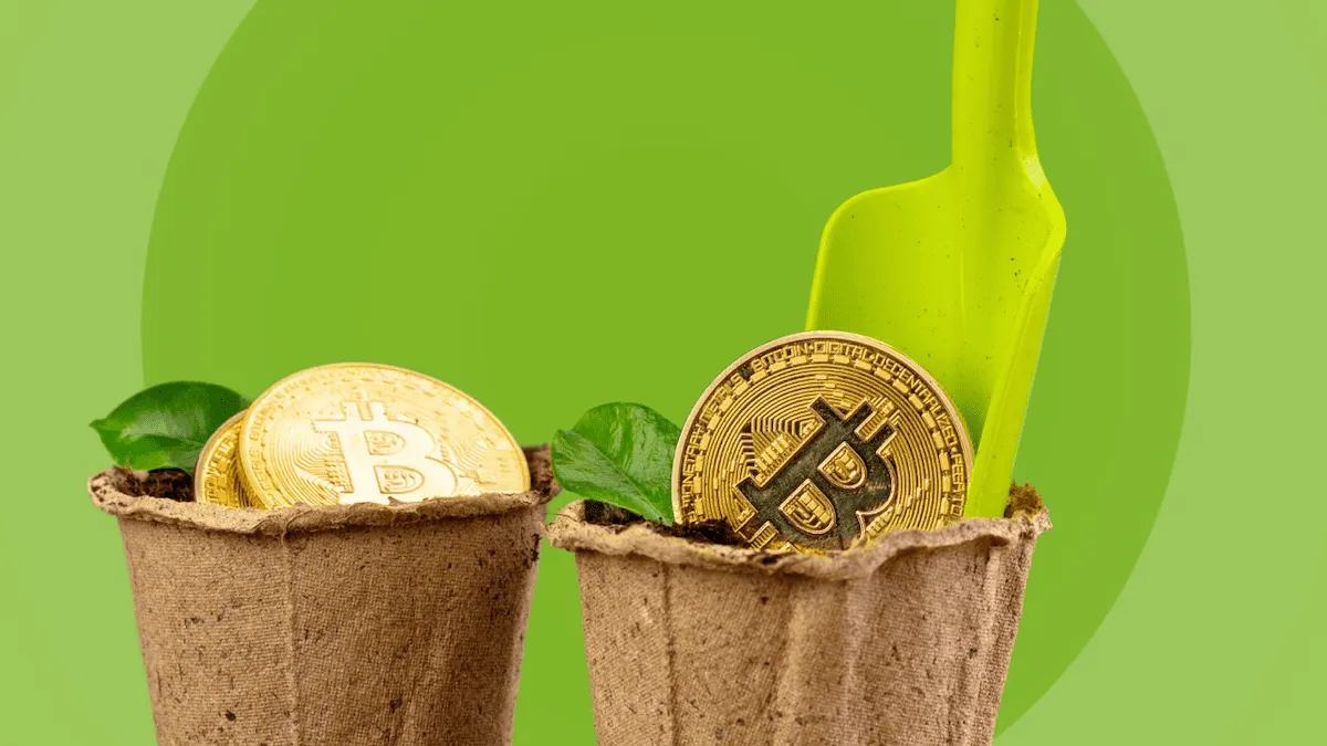 👑 Jul 06, 2024 – Bitcoin Addresses and Wallets 2d - Crypto Trends ...